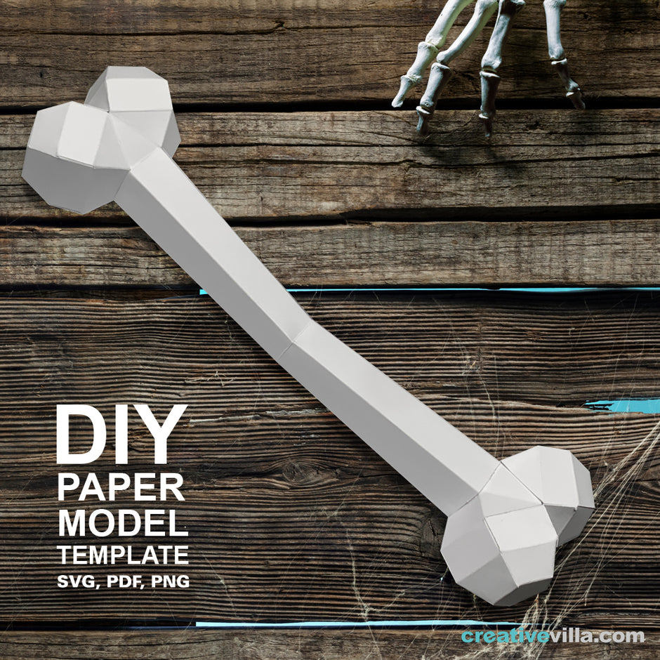 Anatomy – Creativevilla.com