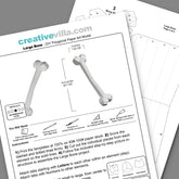 Anatomy – Creativevilla.com